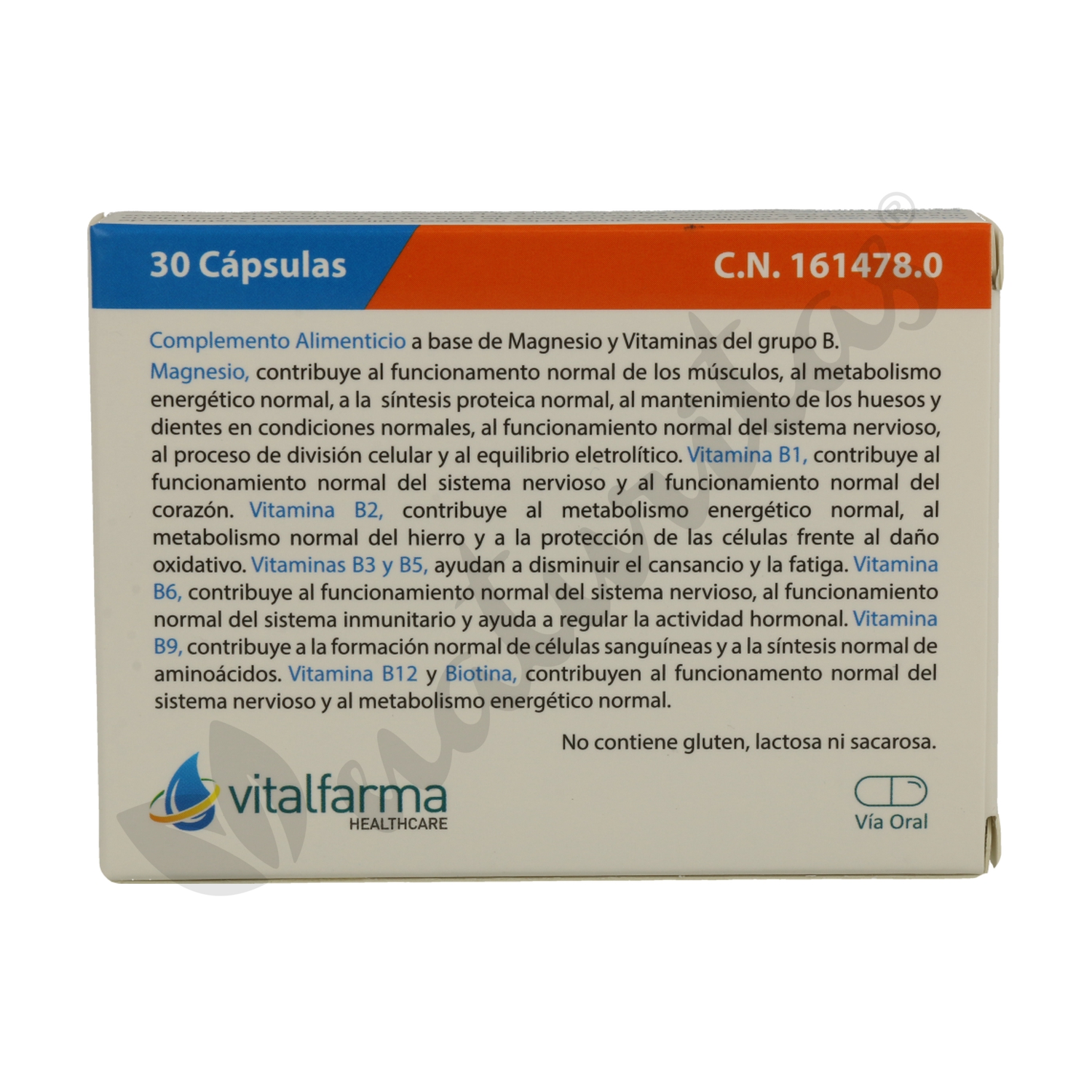 Magnesio B-Complex 30 cápsulas de Vitalfarma | Naturitas