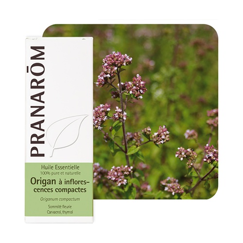 Acheter Huile Essentielle Origan compact 10 ml de huile essentielle ...
