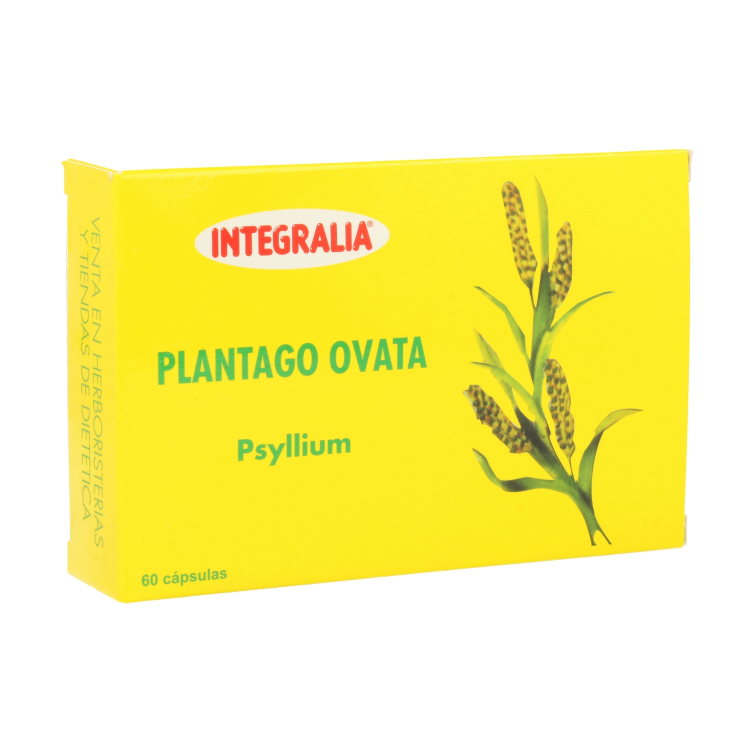 Plantago Ovata